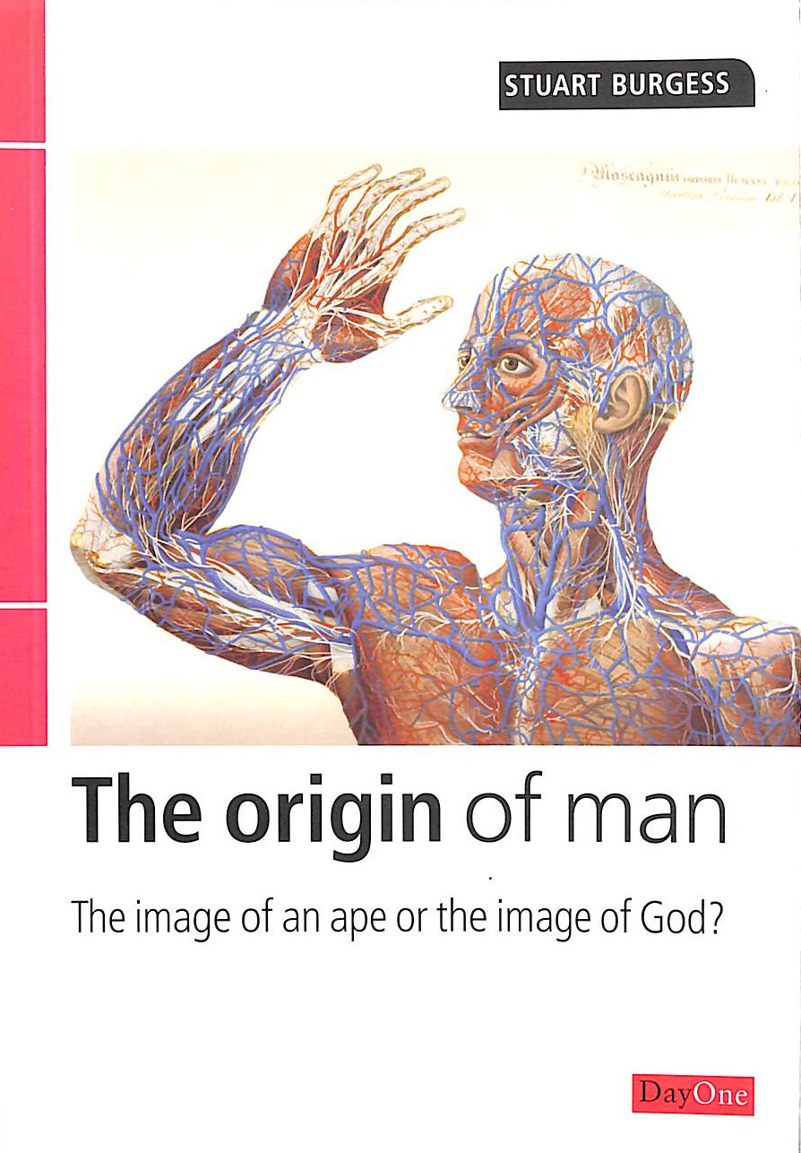 Origin Of Man: The Image Of An Ape Or The Image Of God?