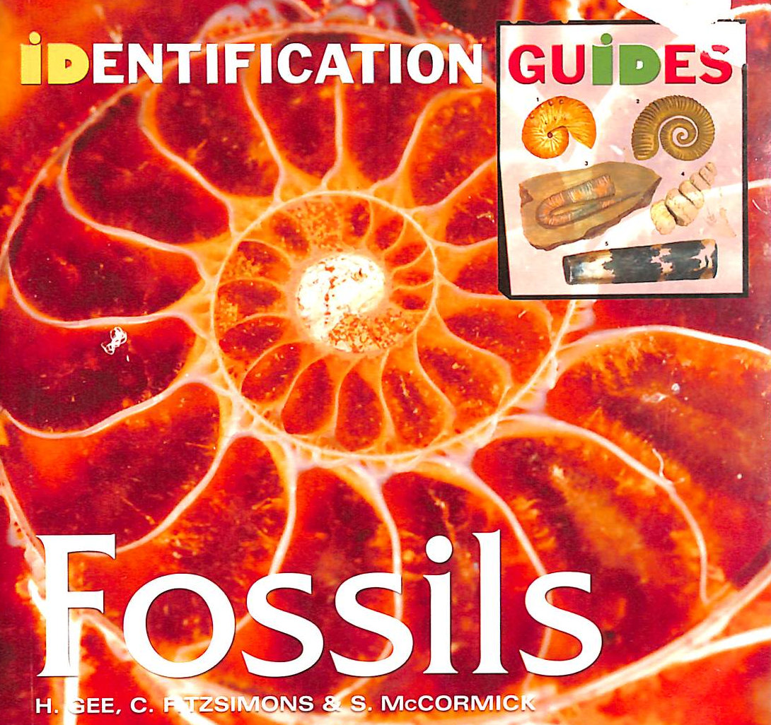 Fossils: Identification Guide (Identification Guides)