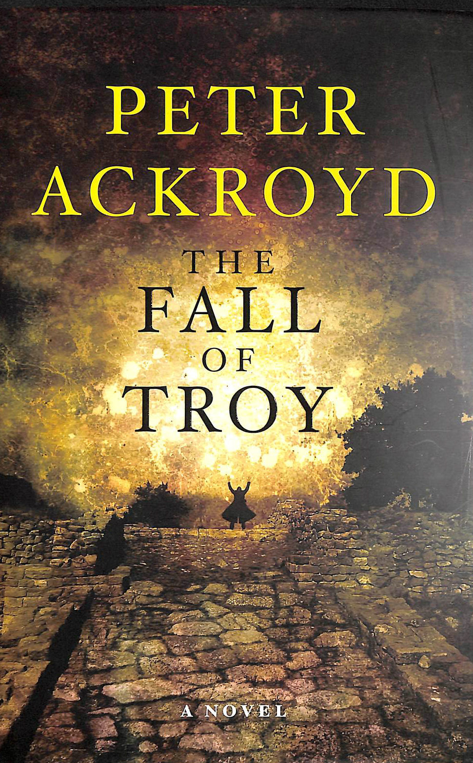 The Fall of Troy