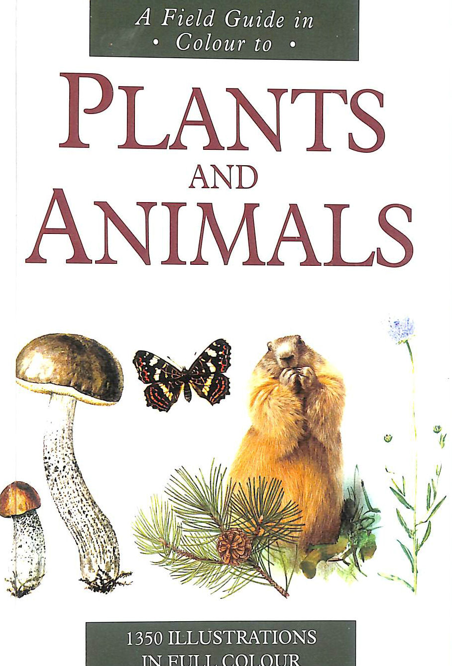A Field Guide In Colour To Plants And Animals