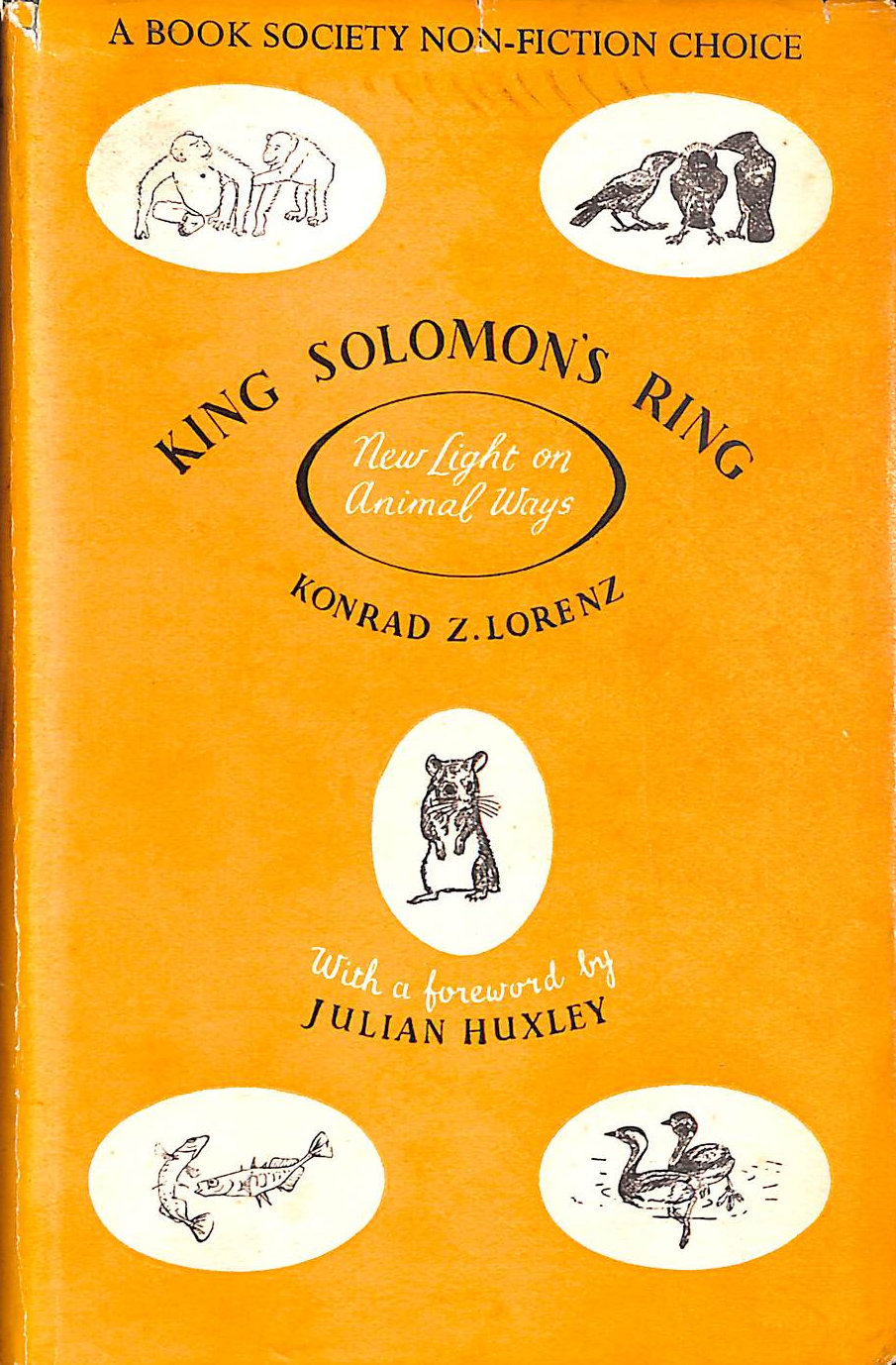 King Solomon Rings Seal Of Suleiman Ring, King Solomon, Star Of David,