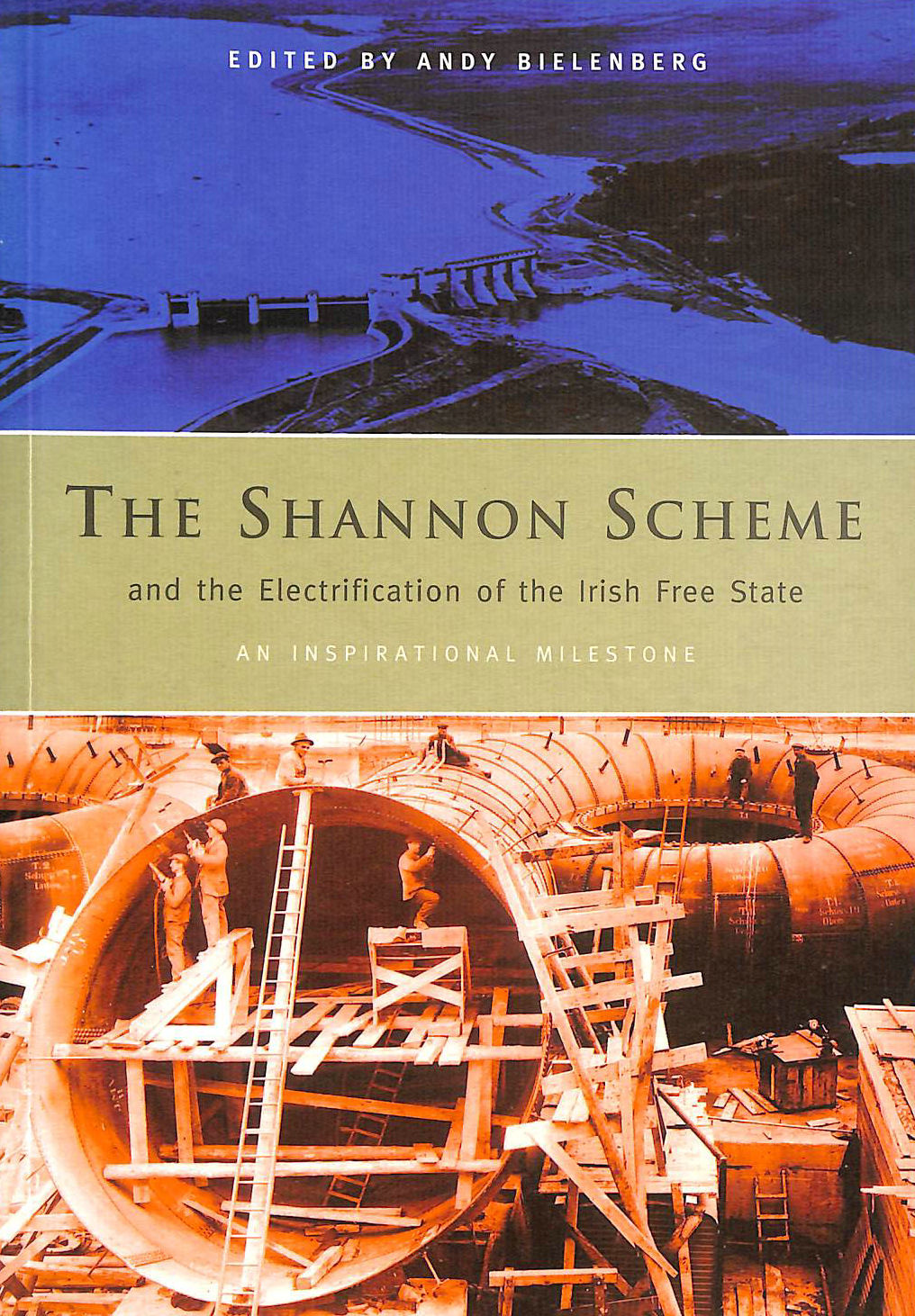 The Shannon Scheme and the Electrification of the Irish Free State