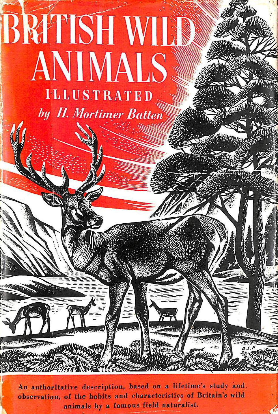 British Wild Animals