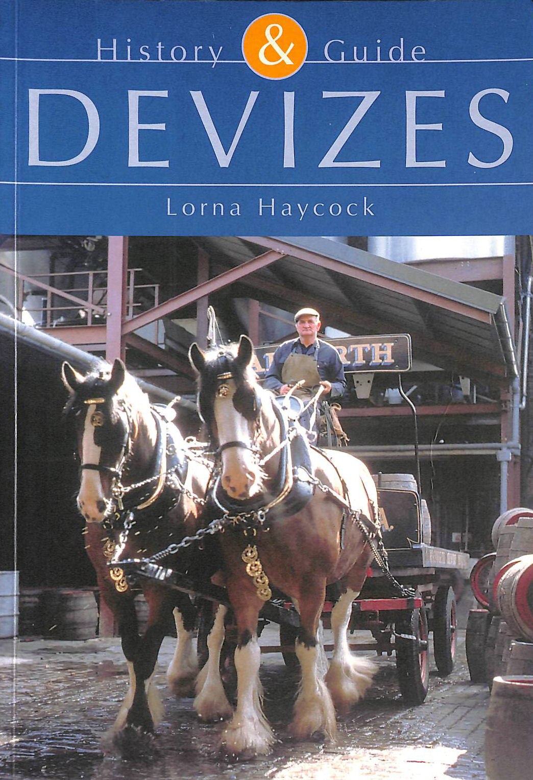 Devizes: History and Guide: History & Guide