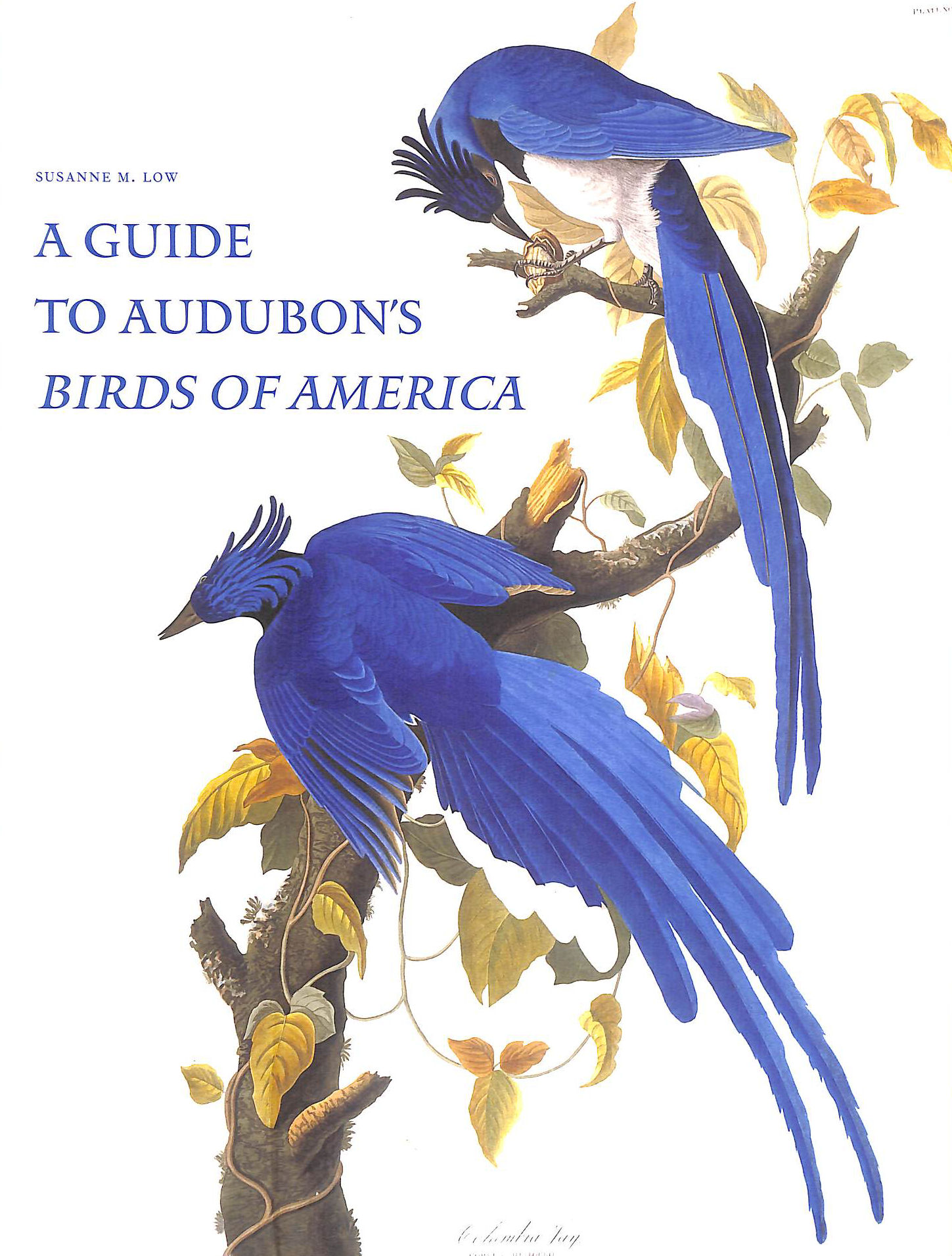 A Guide to Audubon's Birds of America