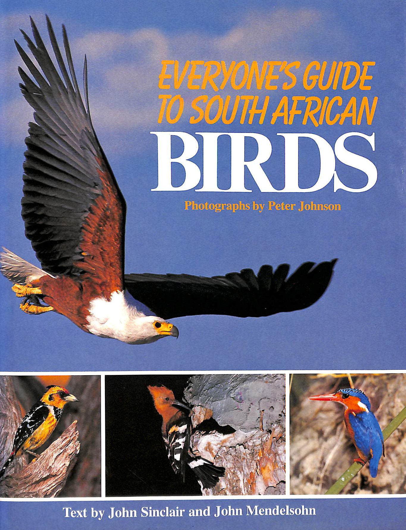 Everyone's Guide to South African Birds